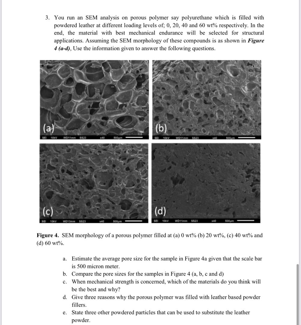 Solved 3. You run an SEM analysis on porous polymer say | Chegg.com