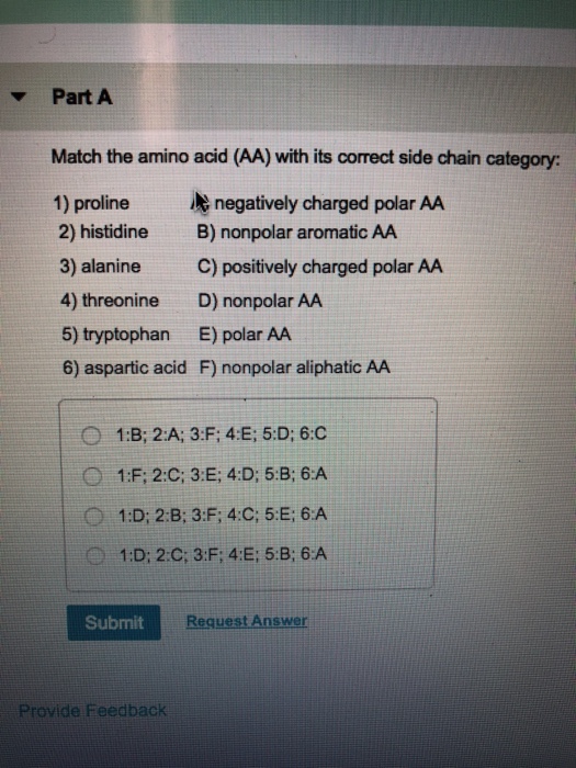 Solved match the amino acid (AA) with its correct side chain | Chegg.com