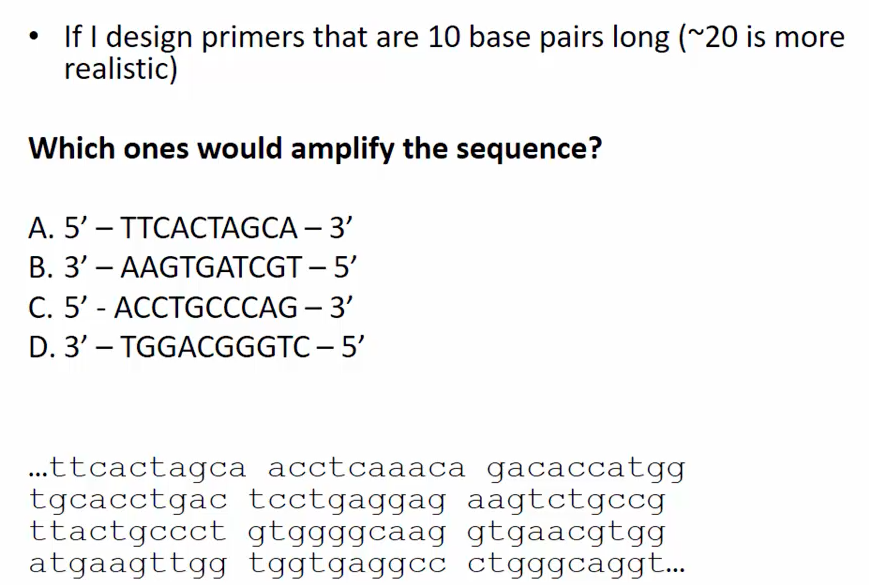 Solved • If I design primers that are 10 base pairs long | Chegg.com