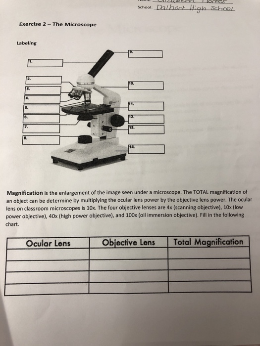 Solved School: SchooL Exercise 2- The Microscope Labeling | Chegg.com