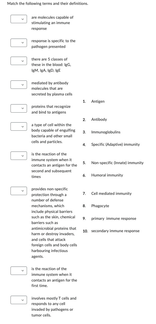 Solved Match the following terms and their definitions. are | Chegg.com
