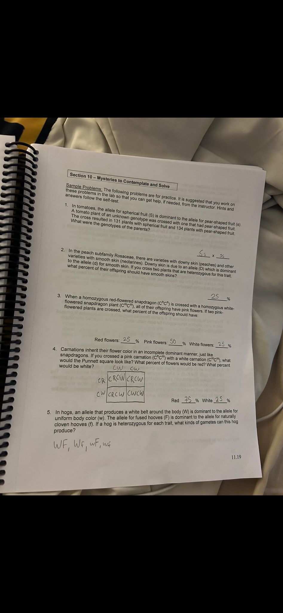 Solved Hi I need some help to go through these questions and | Chegg.com
