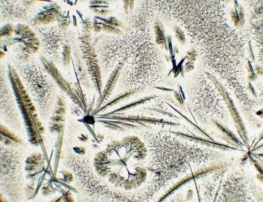 Solved Please describe the given thin sections of Obsidian, | Chegg.com