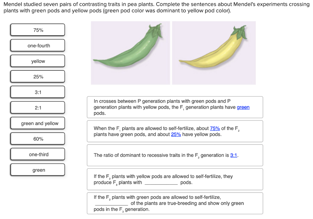 Solved Mendel studied seven pairs of contrasting traits in | Chegg.com