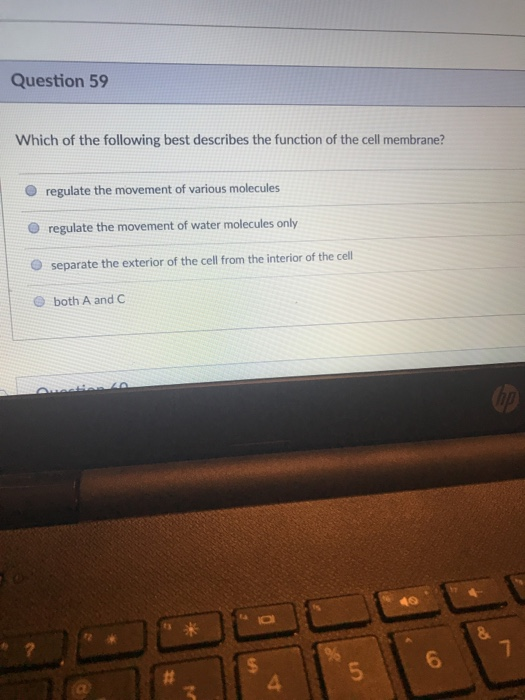 Solved Question 59 Which of the following best describes the | Chegg.com