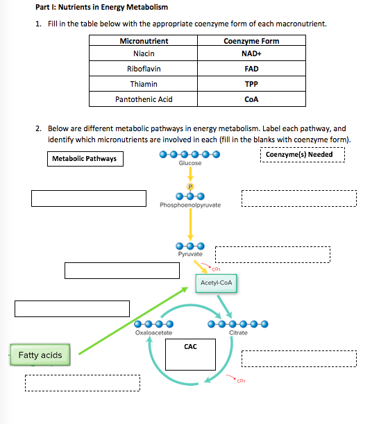 Solved Part I: Nutrients in Energy Metabolism 1. Fill in the | Chegg.com