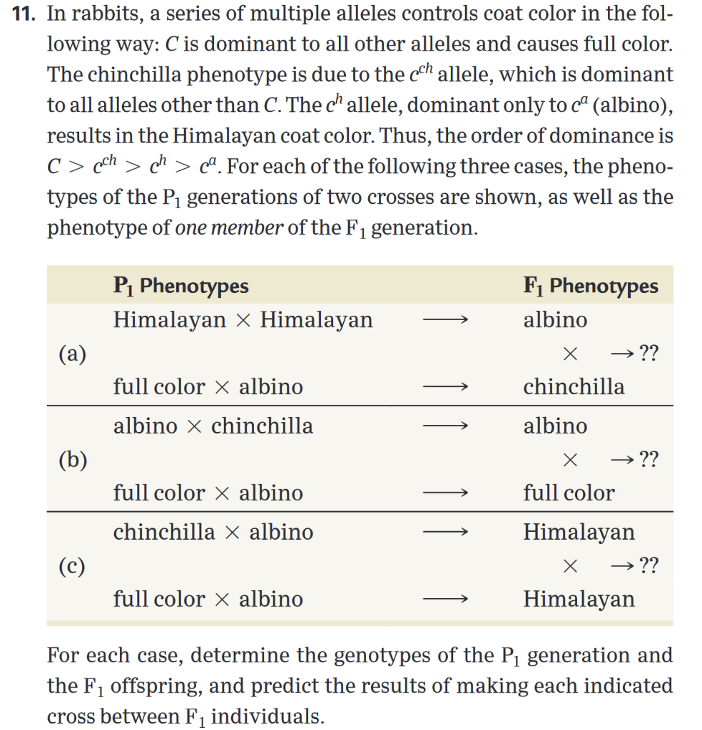 Solved 11. In rabbits, a series of multiple alleles controls | Chegg.com