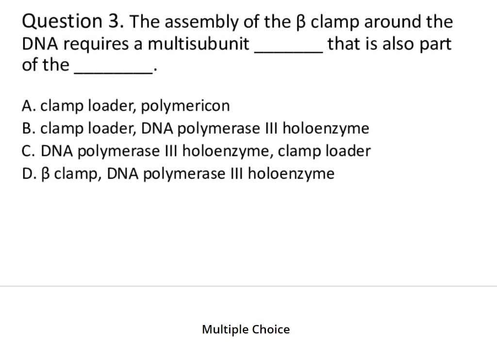 Solved Question 3 . The assembly of the β clamp around the | Chegg.com