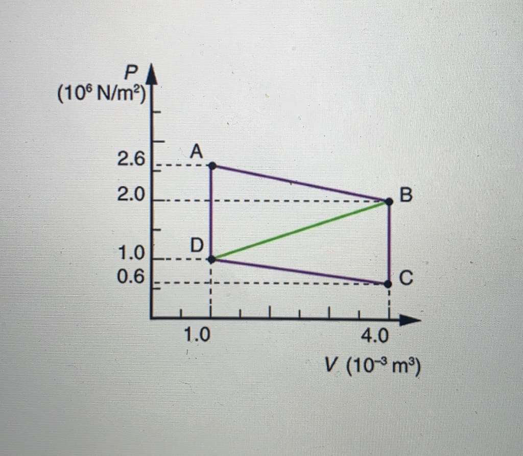 Solved Which of the following processes are shown in the | Chegg.com