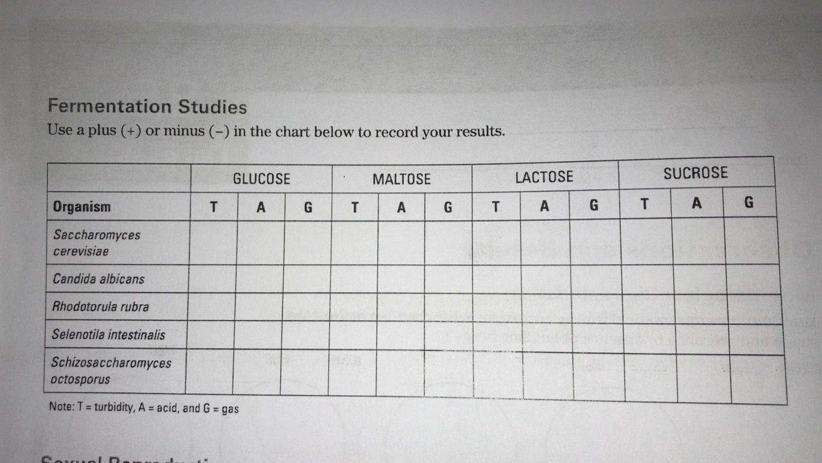 Solved Fermentation Studies Use a plus (+) or minus (-) in | Chegg.com
