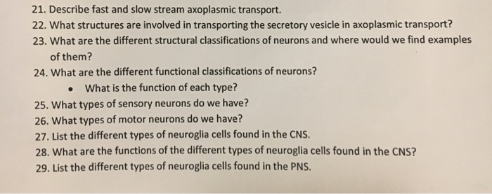 Solved Describe fast and slow stream axoplasmic transport. | Chegg.com