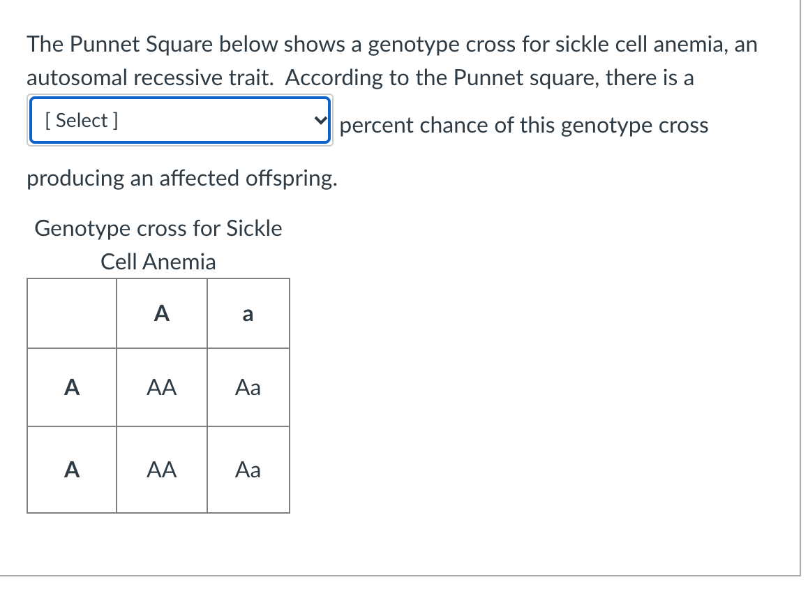 Sickle Cell Anemia Punnett Square