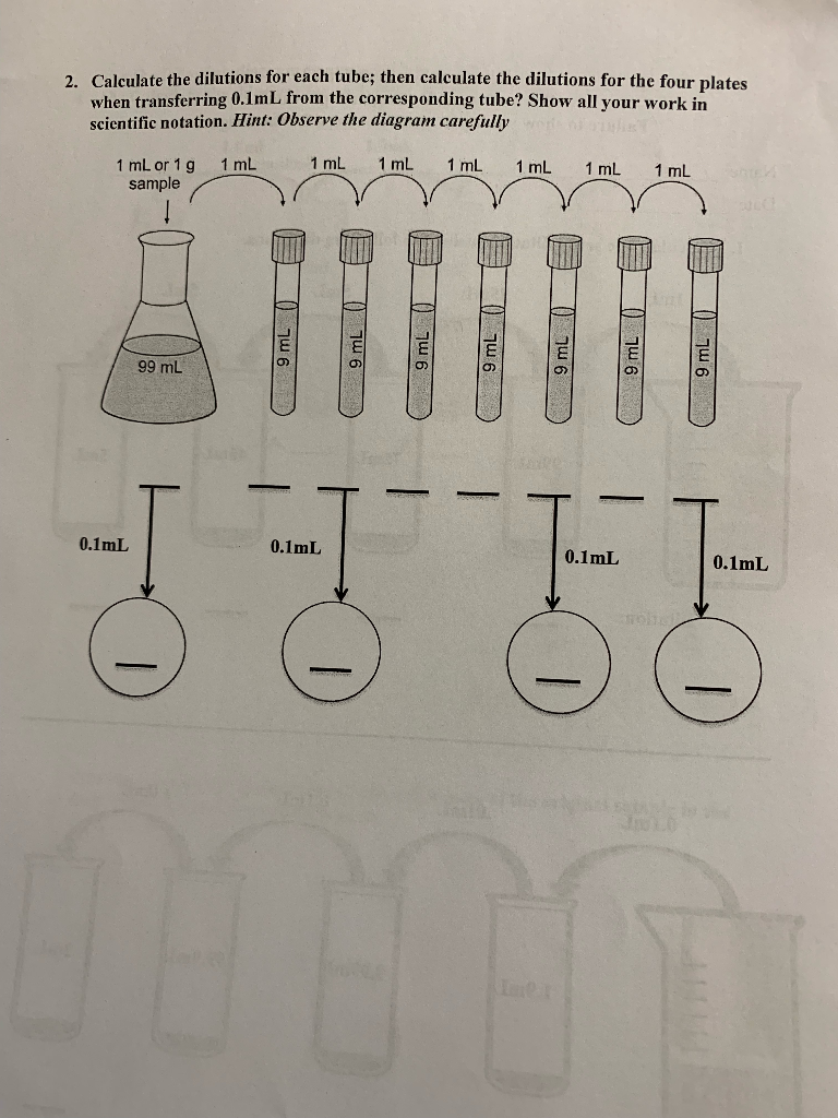 Solved Calculate the dilutions for each tube; then calculate | Chegg.com