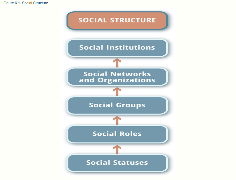 Select three societal tasks from Chart 6-1 in Our | Chegg.com
