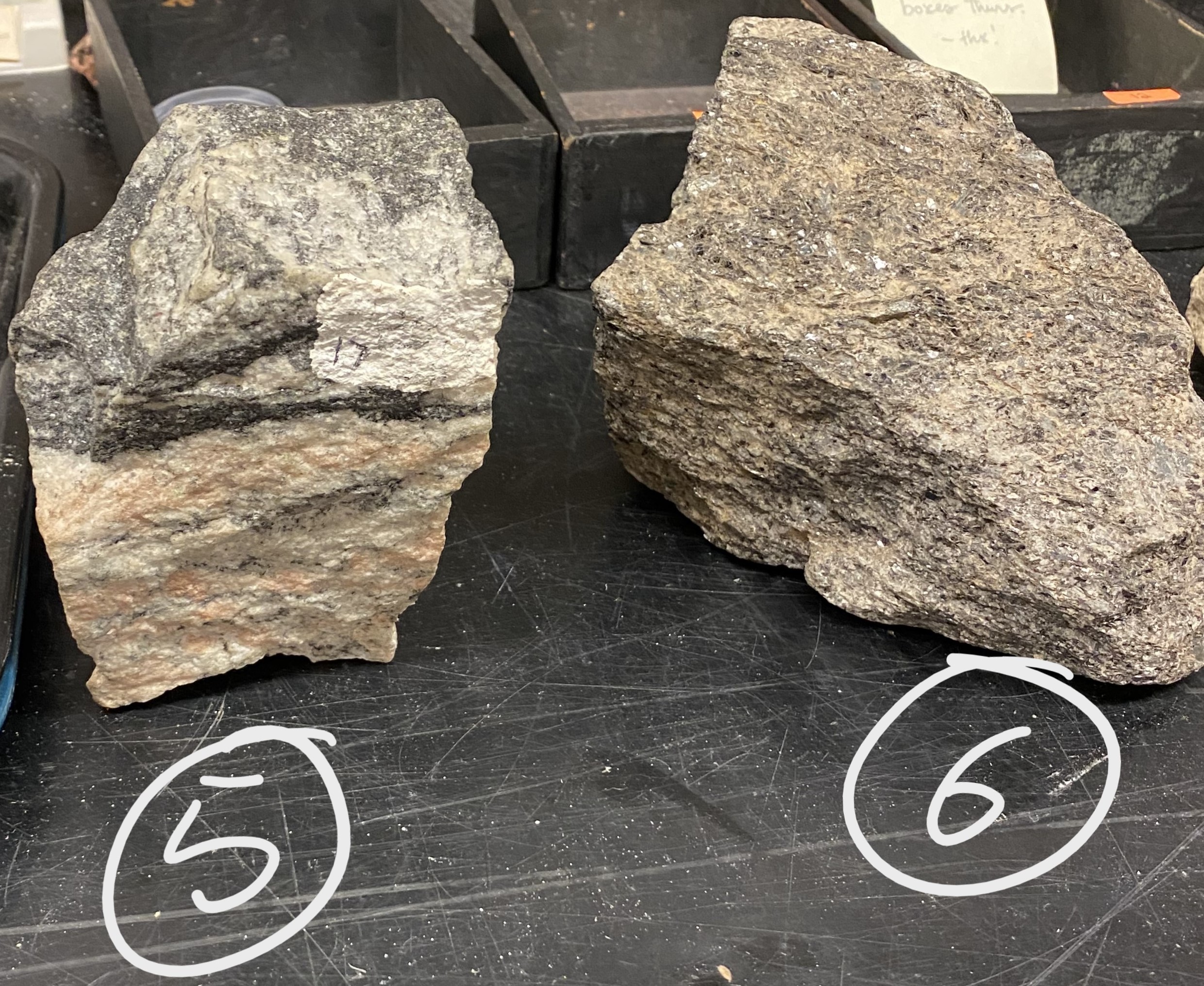 Solved Characterize the 6 rocks samples shown as shield, | Chegg.com