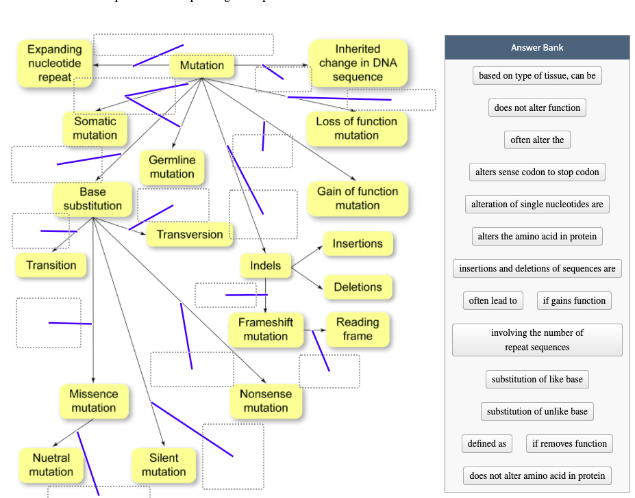 Solved Answer Bank Expanding nucleotide repeat Mutation | Chegg.com