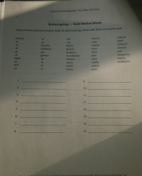 Solved Chapter 16: Otolaryngology Ear, Nose, and Theat | Chegg.com