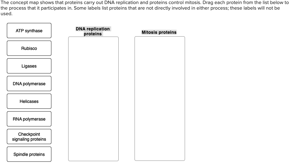 Solved The concept map shows that proteins carry out DNA | Chegg.com