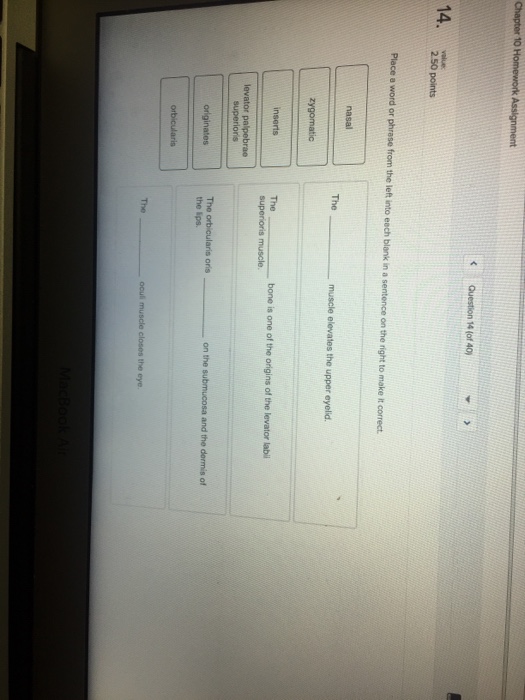 Solved Place a word or phrase from the left into each blank | Chegg.com