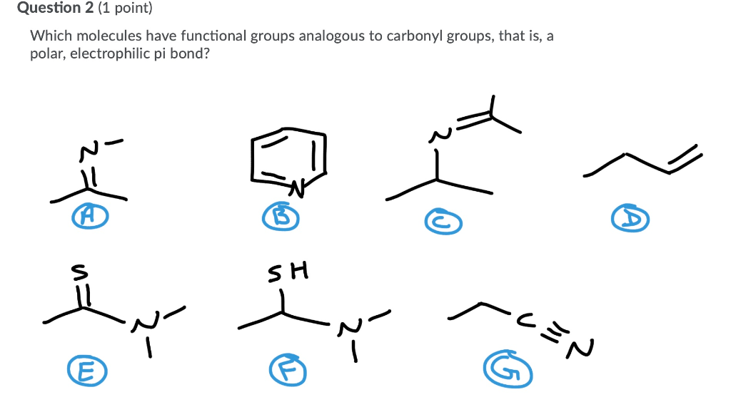 Solved Question 2 (1 point) Which molecules have functional | Chegg.com