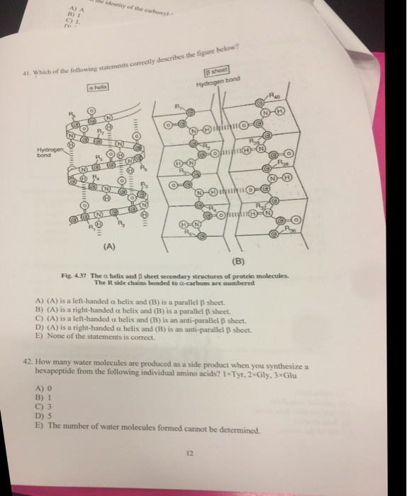 Solved Which of the following statements correctly describes | Chegg.com