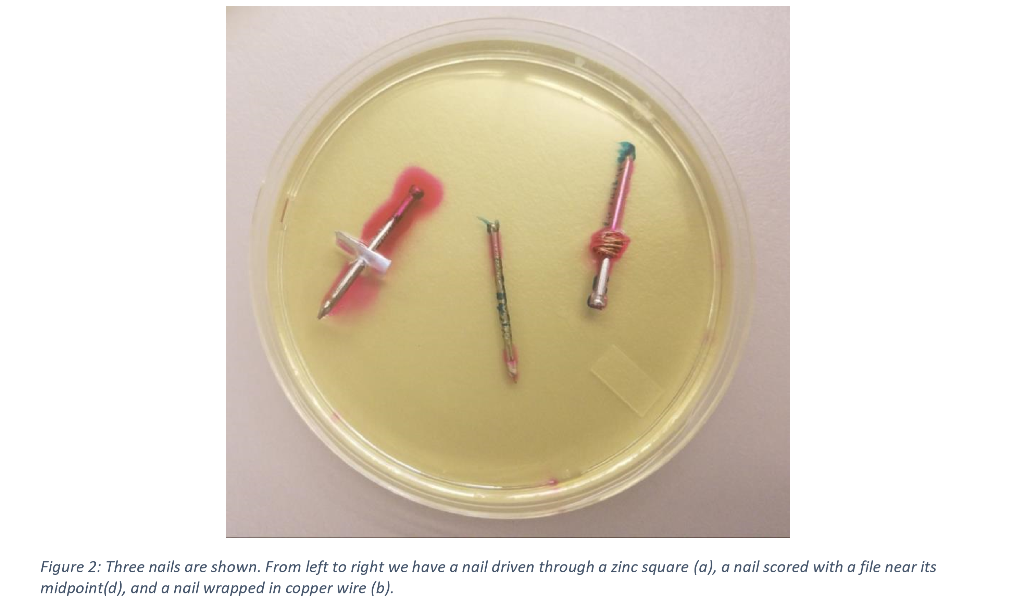 Solved Iron nail wrapped with copper wire -/5 points | Chegg.com