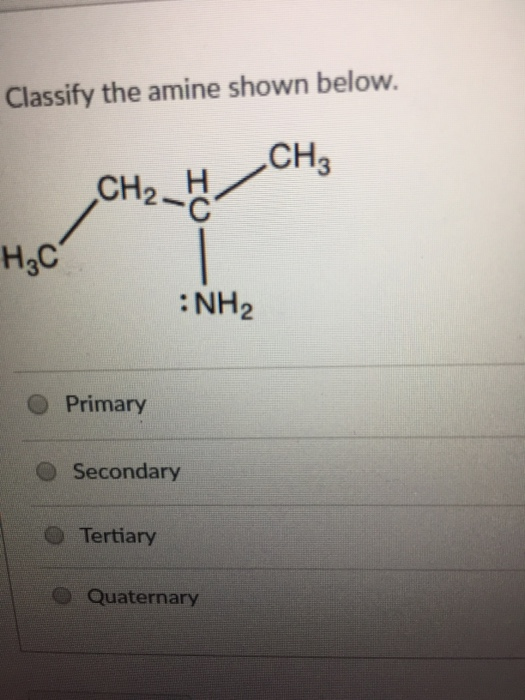 Solved Classify the amine shown below. CH3 CH2 H H3C :NH2 O | Chegg.com
