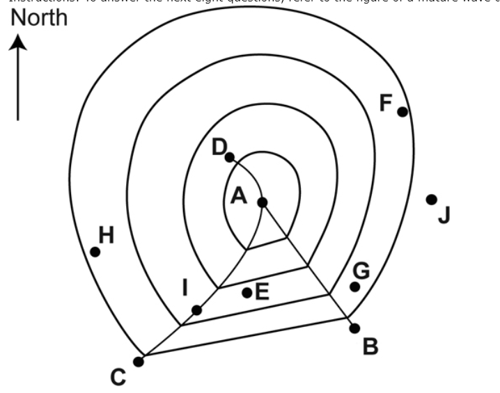 Solved Instructions: To answer the next eight questions, | Chegg.com