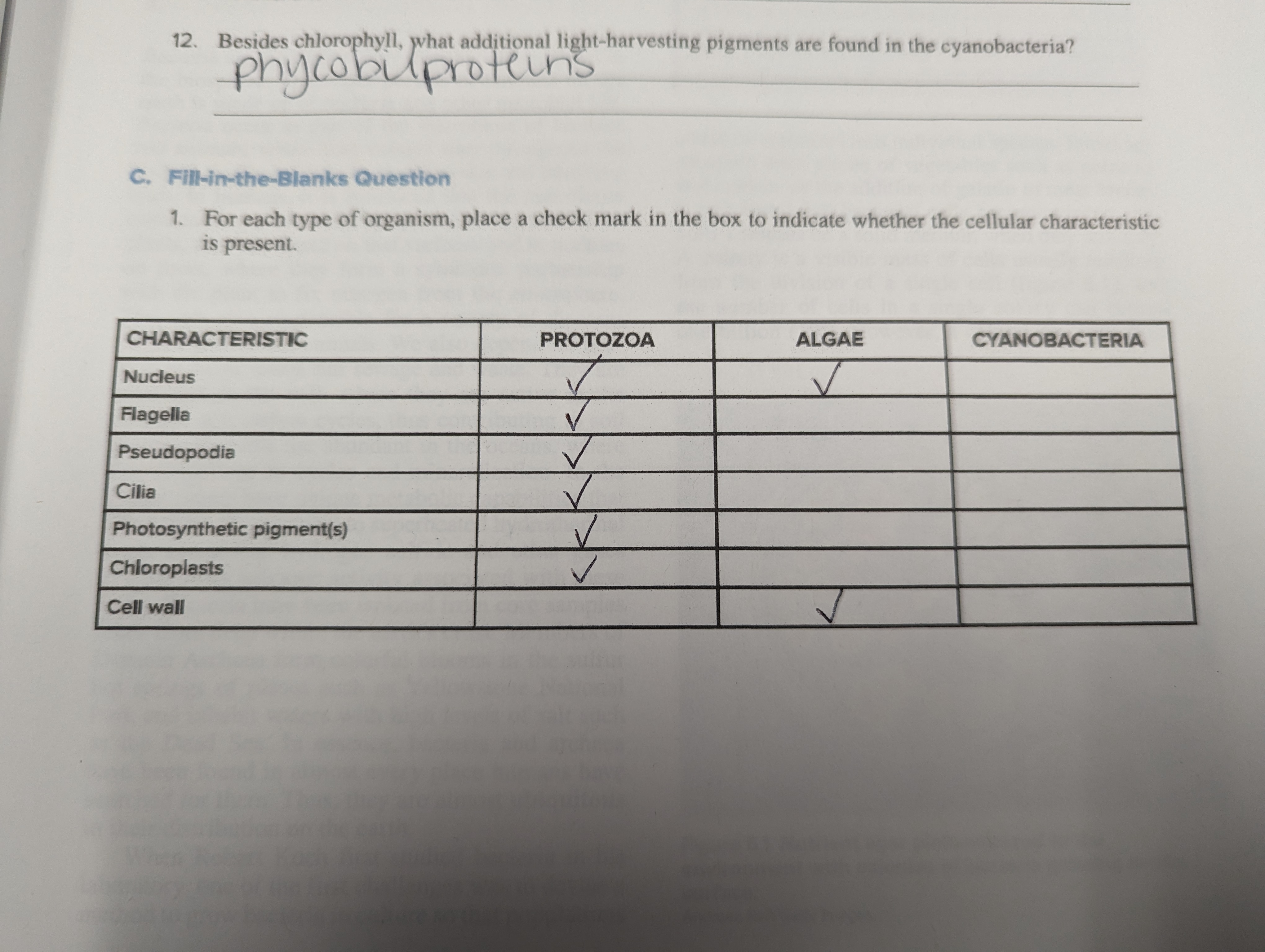 Solved C. ﻿Fill-in-the-Blanks QuestionFor each type of | Chegg.com