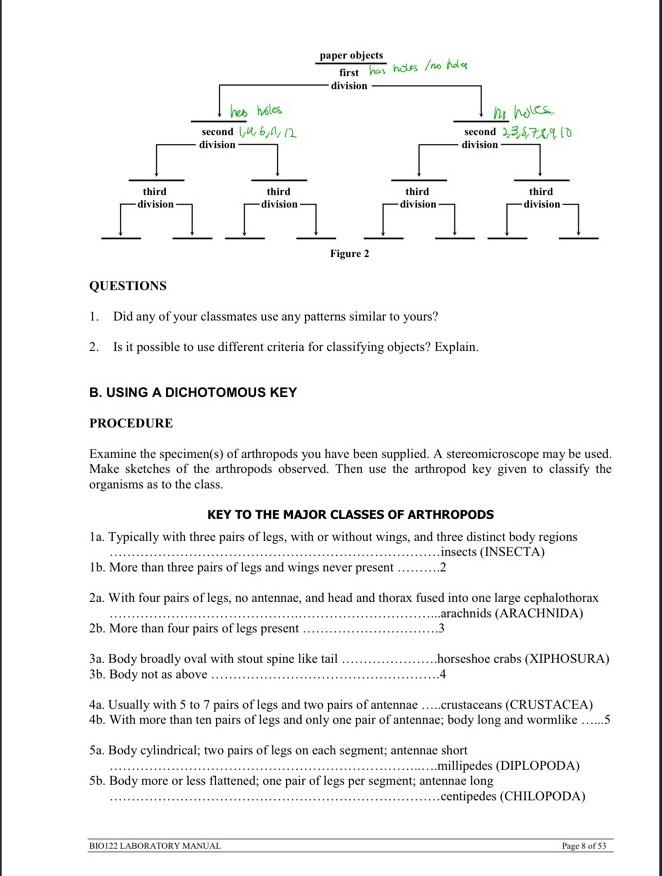 A. CONSTRUCTING A DICHOTOMOUS KEY PROCEDURE 1. Using | Chegg.com