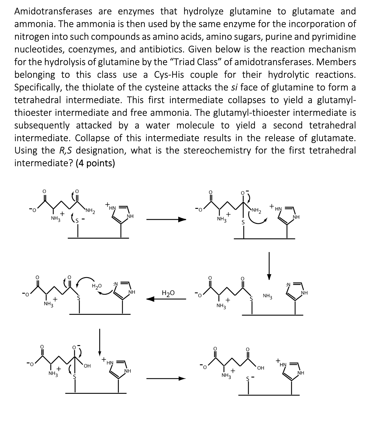 Solved Amidotransferases are enzymes that hydrolyze | Chegg.com