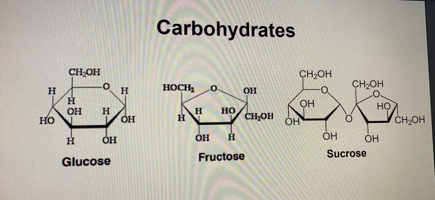 Solved Determine in descending order which carbohydrate is | Chegg.com