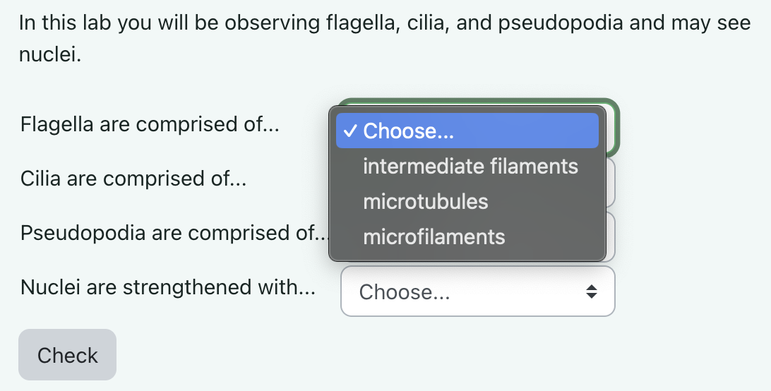 Solved In this lab you will be observing flagella, cilia, | Chegg.com
