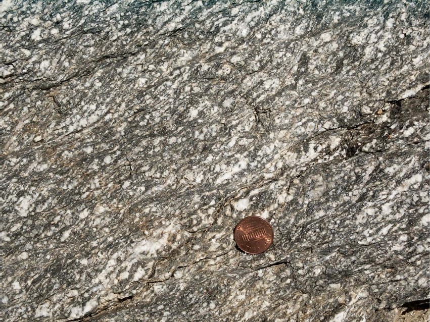 Solved Label these structures. Describe these structures in | Chegg.com