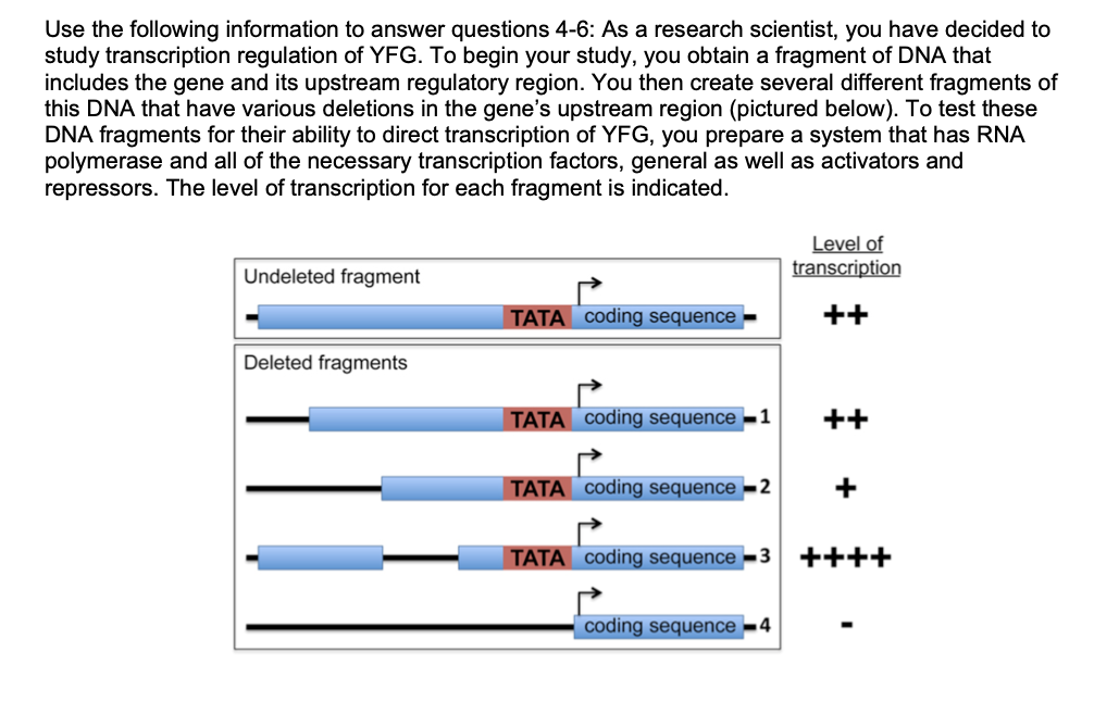 Solved Use the following information to answer questions | Chegg.com