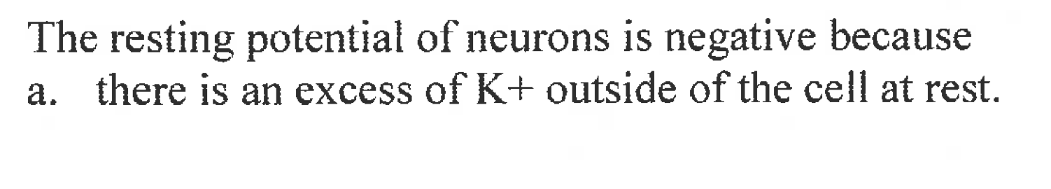 Solved The resting potential of neurons is negative because | Chegg.com