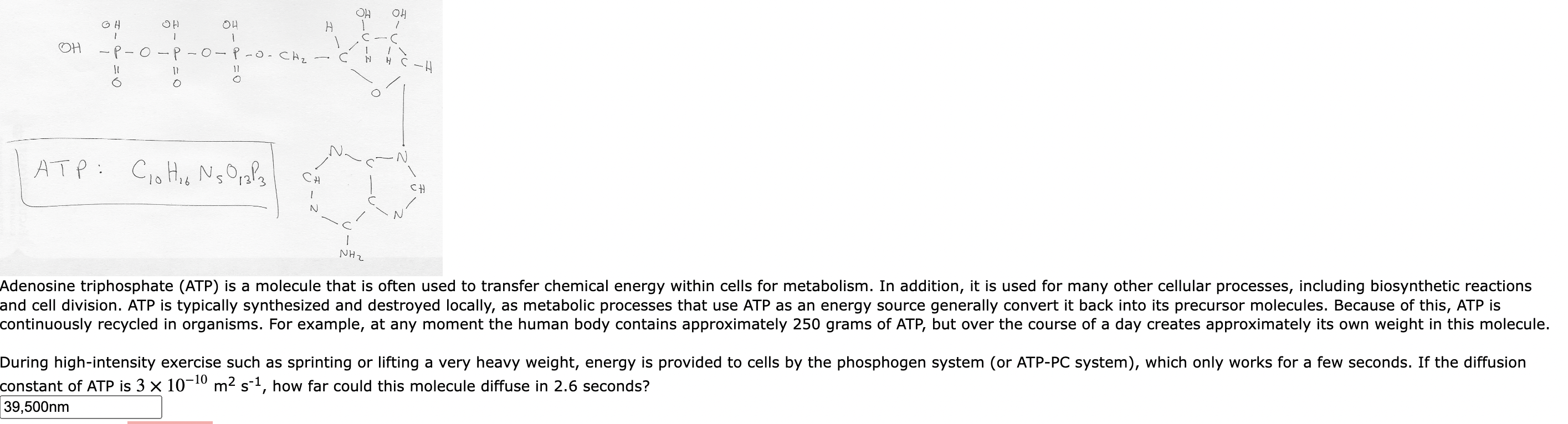 Solved Adenosine triphosphate (ATP) ﻿is a molecule that is | Chegg.com