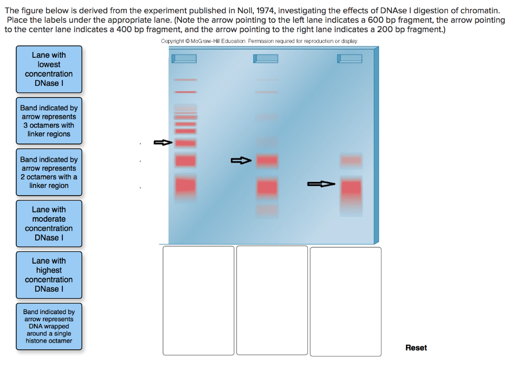 The Figure Below Is Derived From The Experiment Pu... | Chegg.com