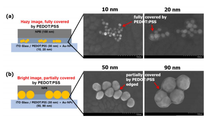 Solved In the OLED device, Au-NPs were dispersed in PEDOT: | Chegg.com