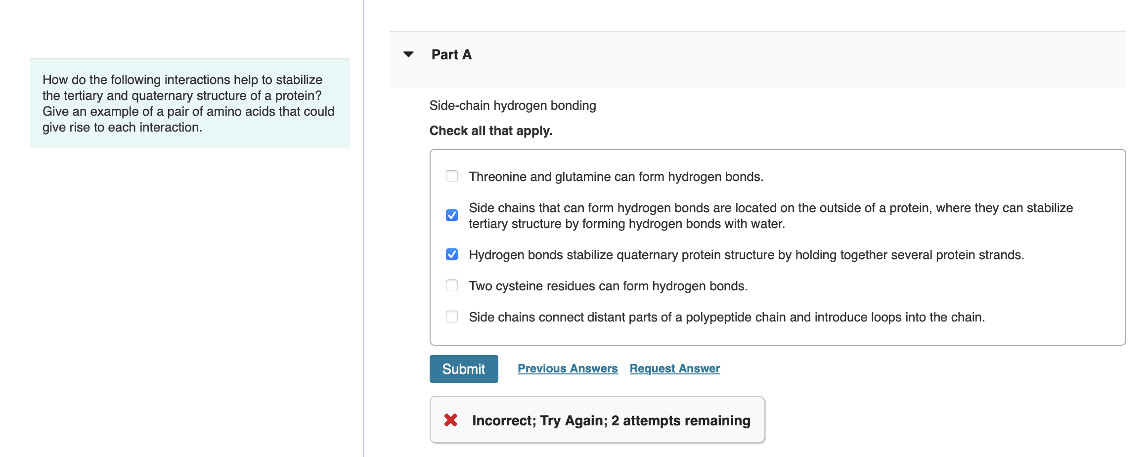 Solved How do the following interactions help to stabilize | Chegg.com