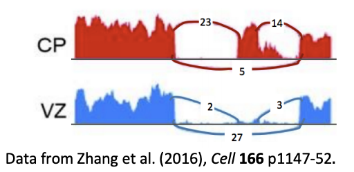 Solved This figure plots an RNAseq analysis of samples | Chegg.com