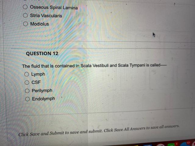 Osseous Spiral Lamina Stria Vascularis Modiolus | Chegg.com