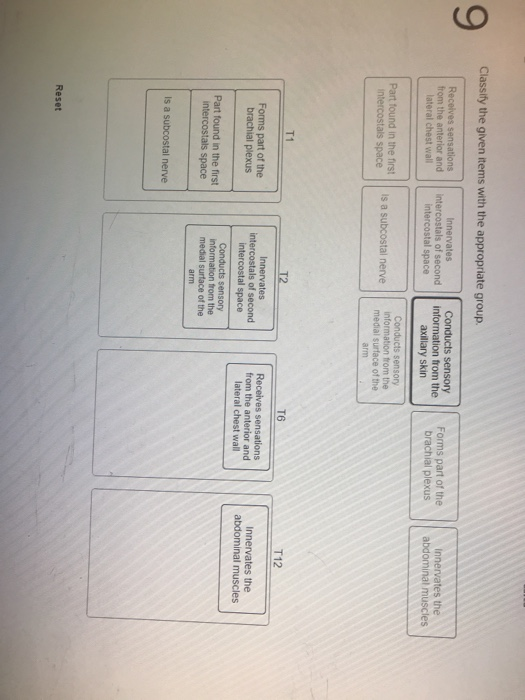 Solved Classify the given items with the appropriate group. | Chegg.com