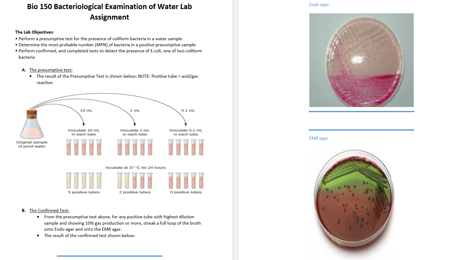 Solved Endo agar Bio 150 Bacteriological Examination of | Chegg.com