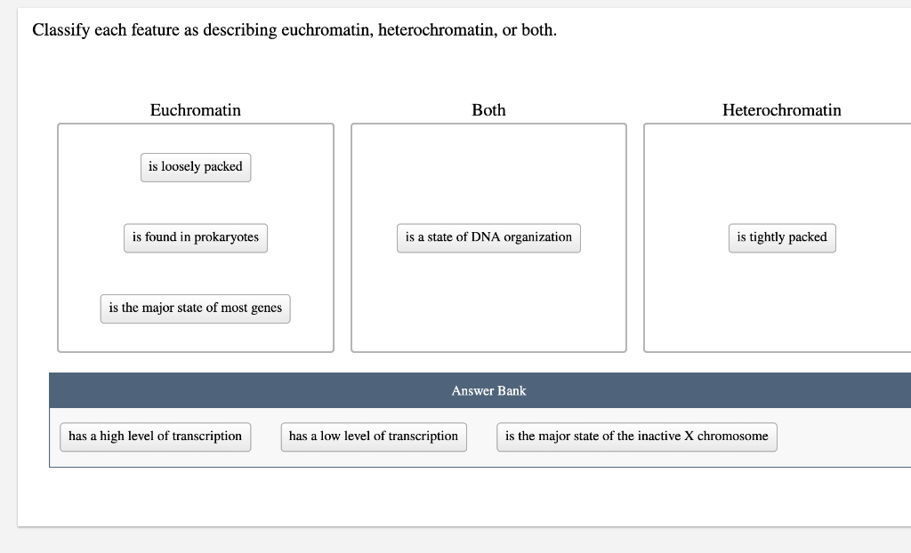 Solved Classify each feature as describing euchromatin, | Chegg.com