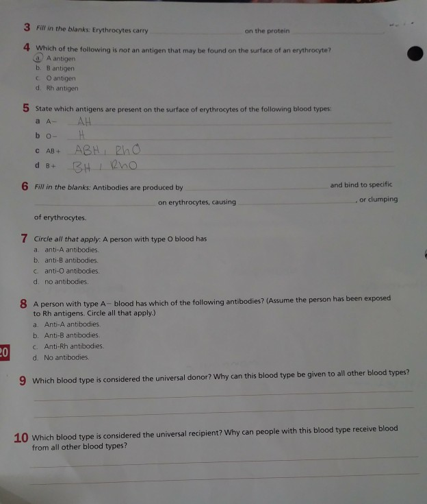 Solved 3 Fill in the blanks: Erythrocytes carry on the | Chegg.com Solved 3 Fill in the blanks: Erythrocytes carry on the | Chegg.com