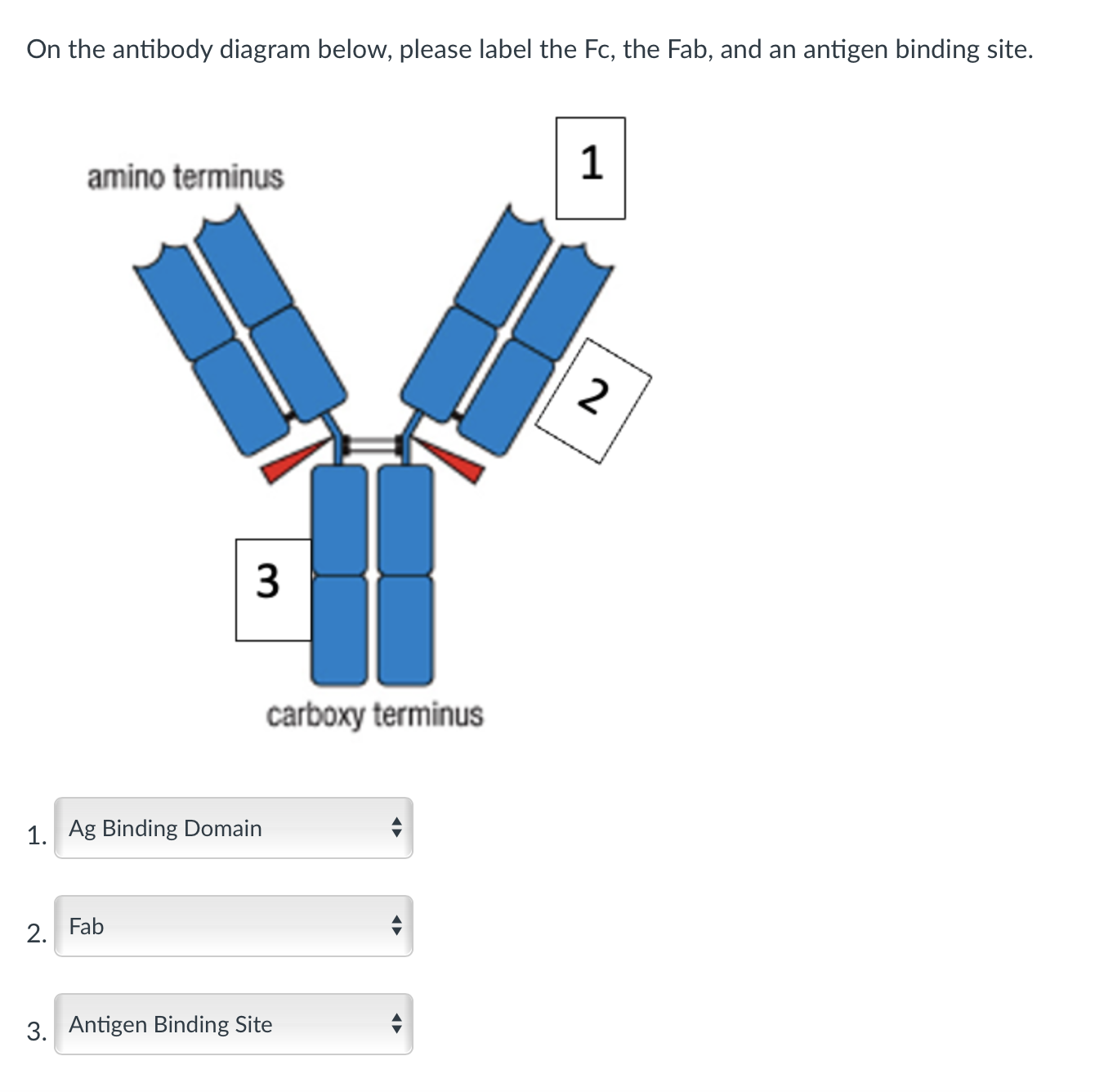 Solved On the antibody diagram below, please label the Fc, | Chegg.com
