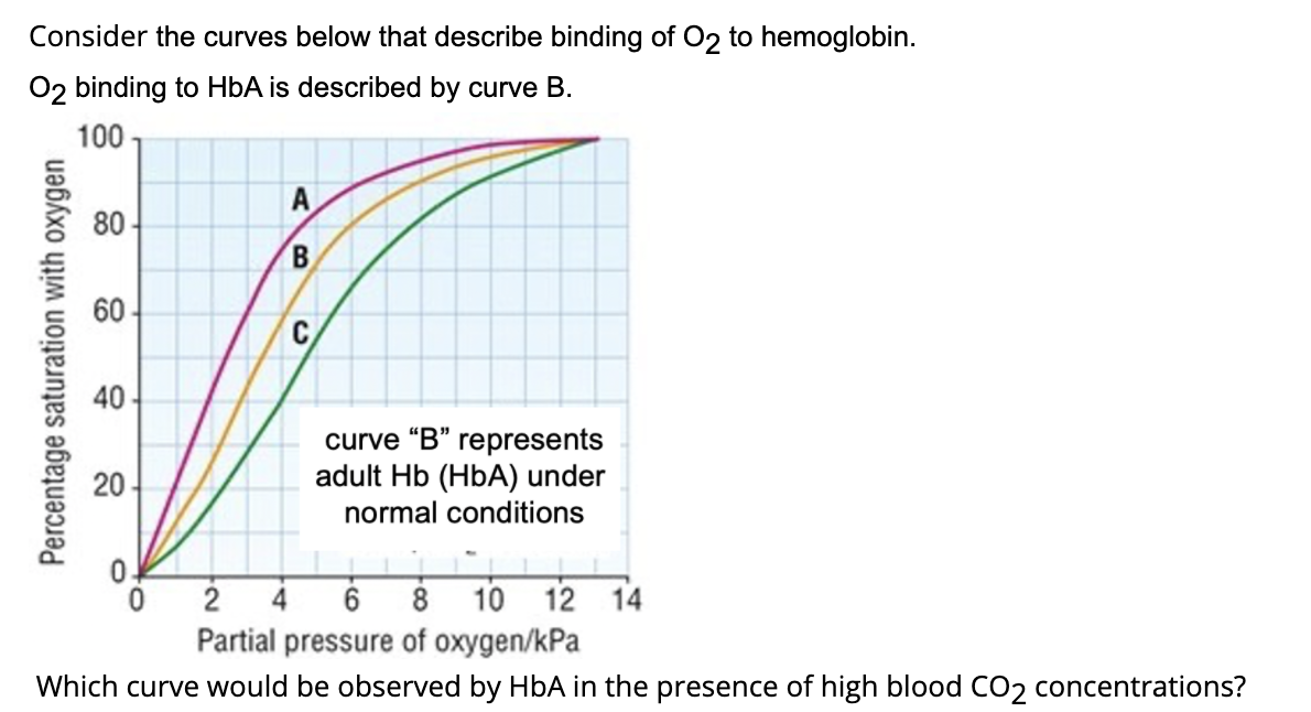 Solved Consider the curves below that describe binding of O2 | Chegg.com