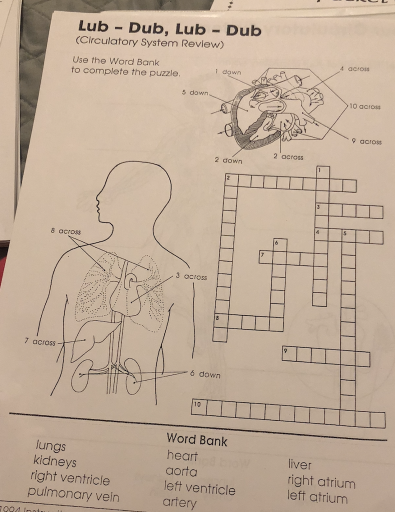 Solved Lub Dub, Lub Dub (Circulatory System Review) 4 across | Chegg.com