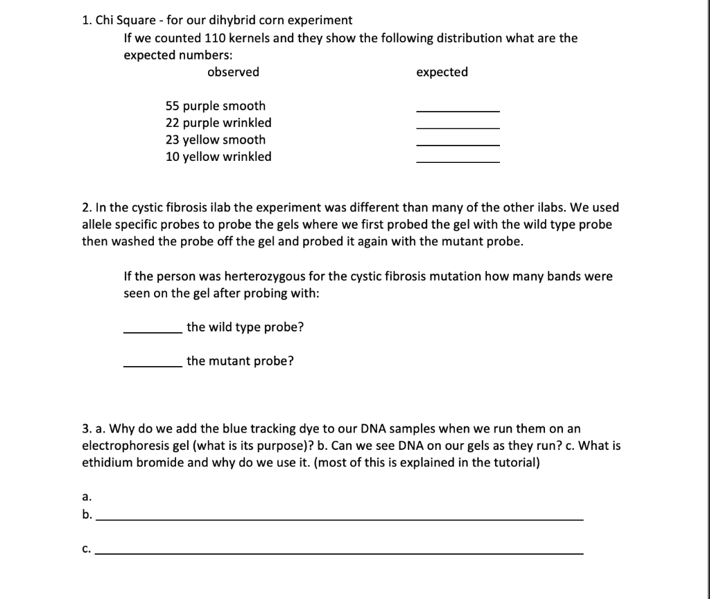 Solved 1. Chi Square - for our dihybrid corn experiment If | Chegg.com